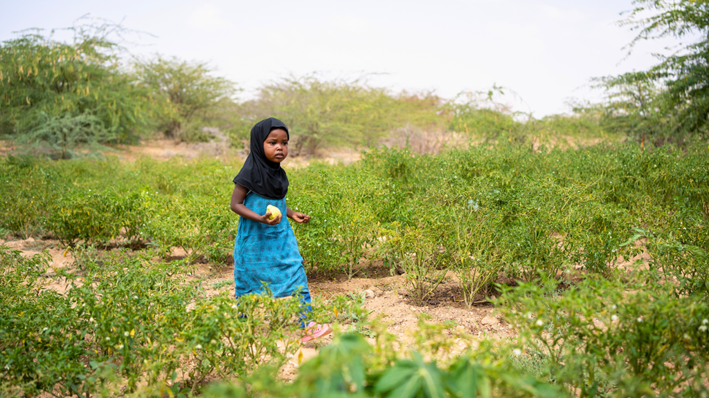 The critical connection between climate and child protection - SOS ...