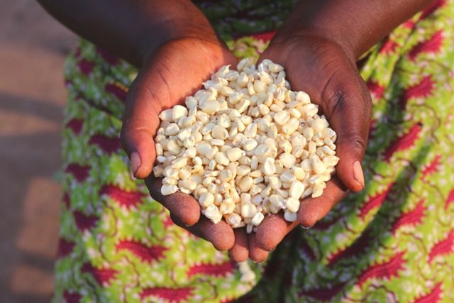 Livestock gifts: Drought-resistant seeds - SOS Children's Villages USA