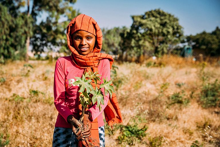 Livestock gifts: Drought-resistant seeds - SOS Children's Villages USA